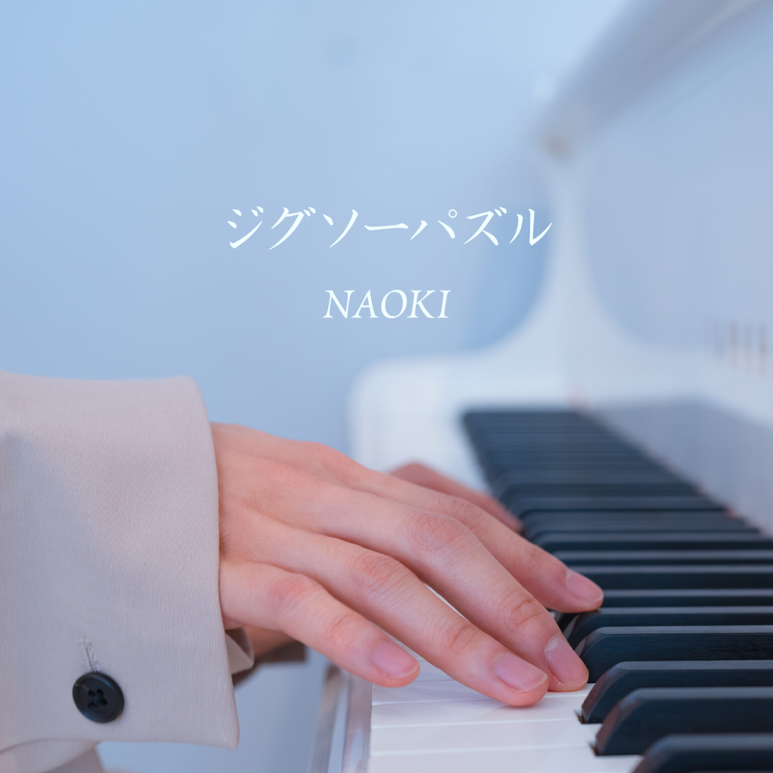 NAOKI Official Site | あなたの人生に彩りを